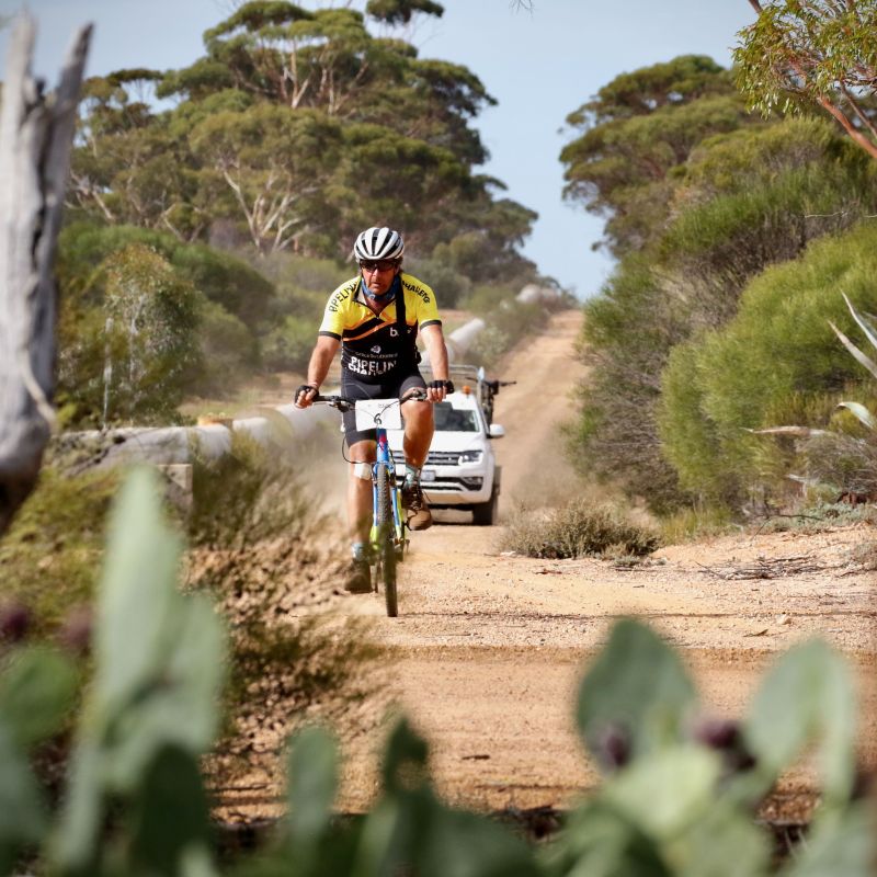 Gallery | Pipeline Challenge